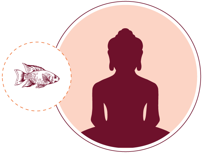 24 Tirthankaras: Spiritual Guides of Jainism
